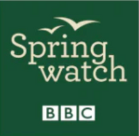 Bird Box Cameras, Wildlife Cameras, Nest Box Cameras | Gardenature