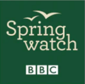 Bird Box Cameras, Wildlife Cameras, Nest Box Cameras | Gardenature