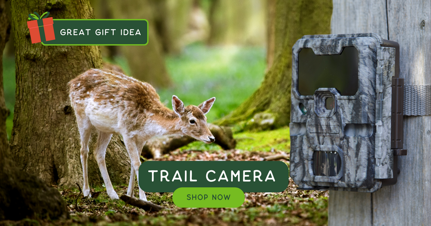 Bird Box Cameras, Wildlife Cameras, Nest Box Cameras | Gardenature