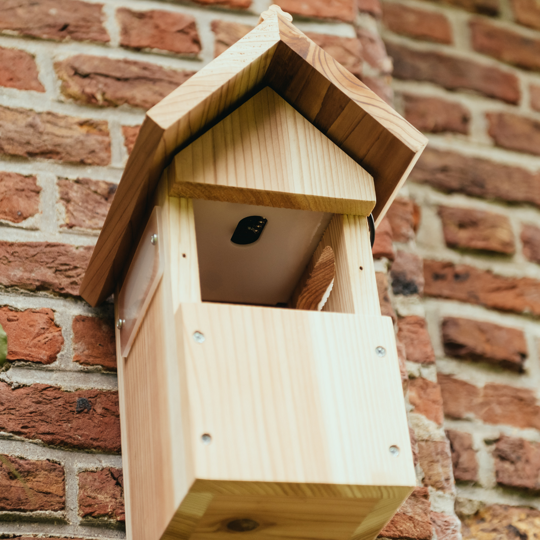 WiFi Bird Box camera system – Gardenature