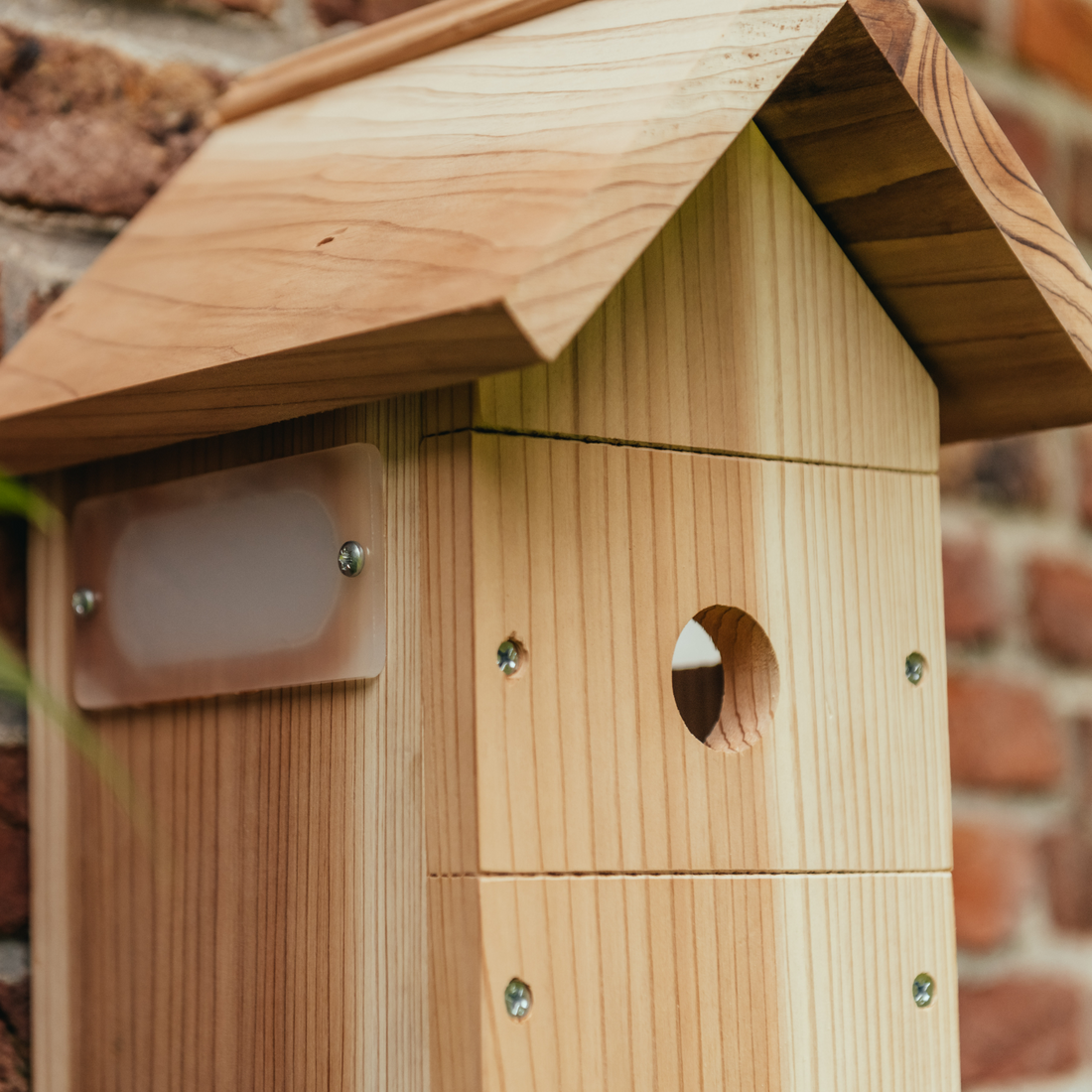 WiFi Bird Box camera system – Gardenature